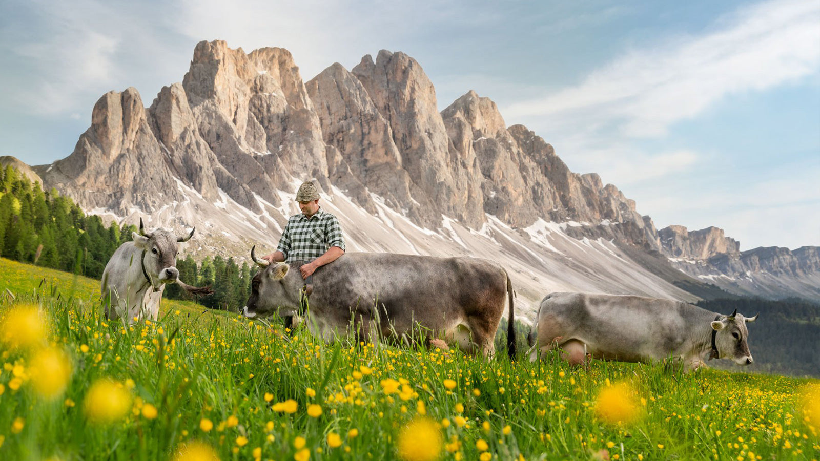 Our Milk from the Alps – LoackerUSA