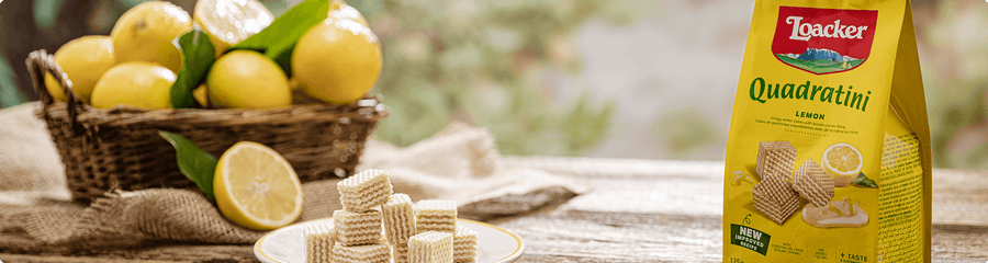 Loacker Wafers | Premium Wafers, Chocolate, and Snacks – LoackerUSA